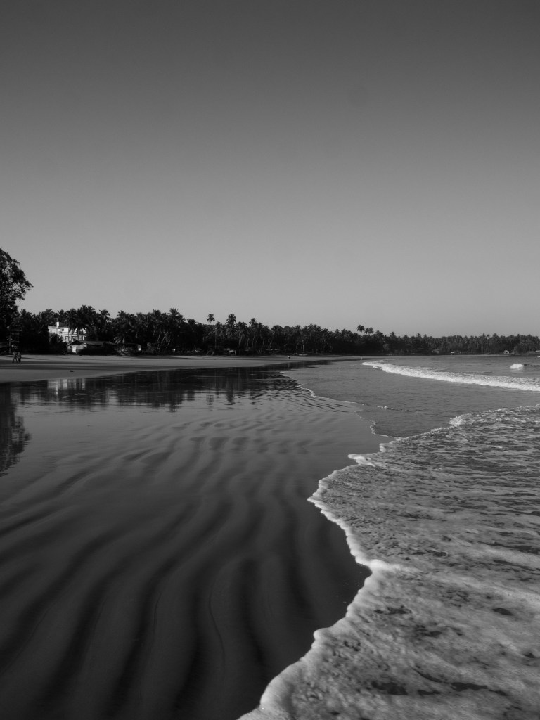 Photo Walks – Creative Genes