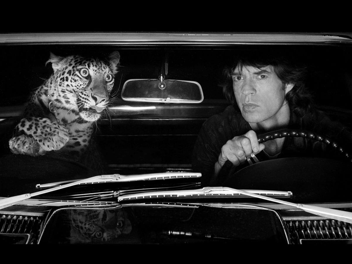 Creating Photographs by Albert Watson – Book Review & Notes – Creative ...