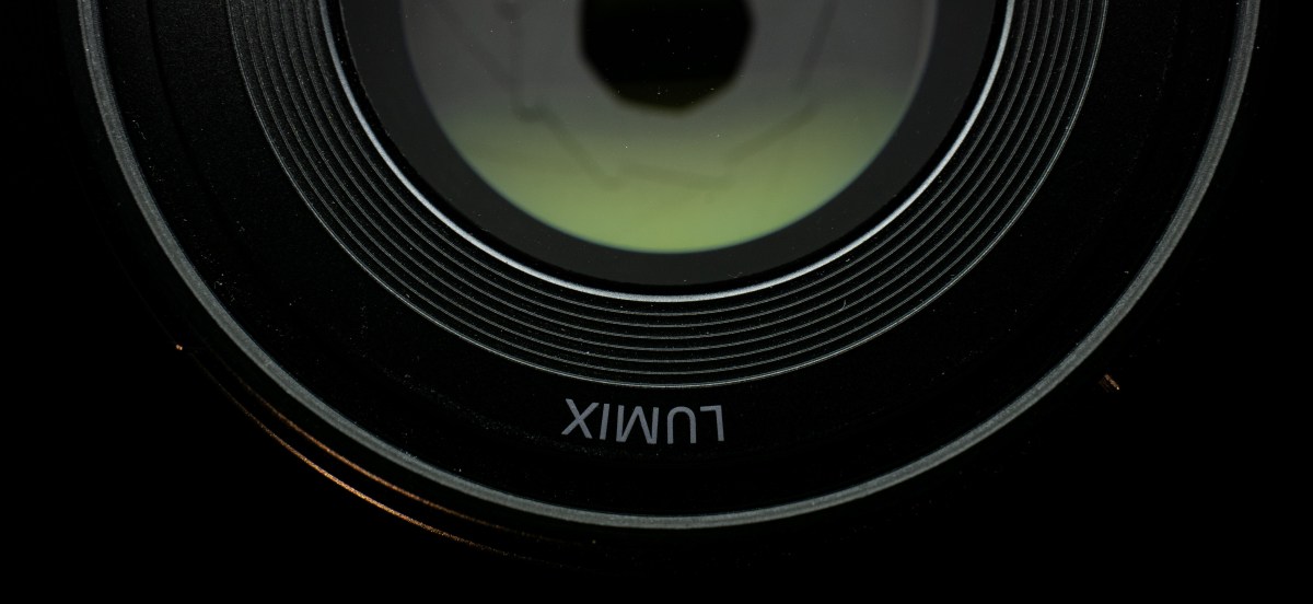 Lumix 100mm F2.8 Macro Lens Review and Sample Images – Creative Genes